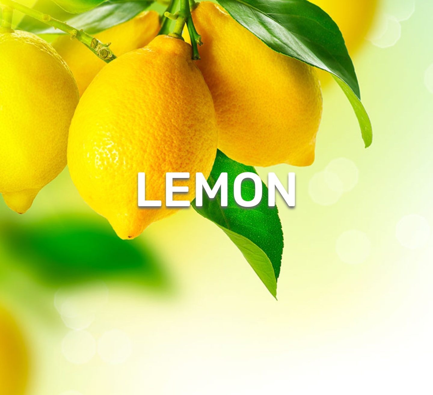Lemons - Gadex For Import & Export